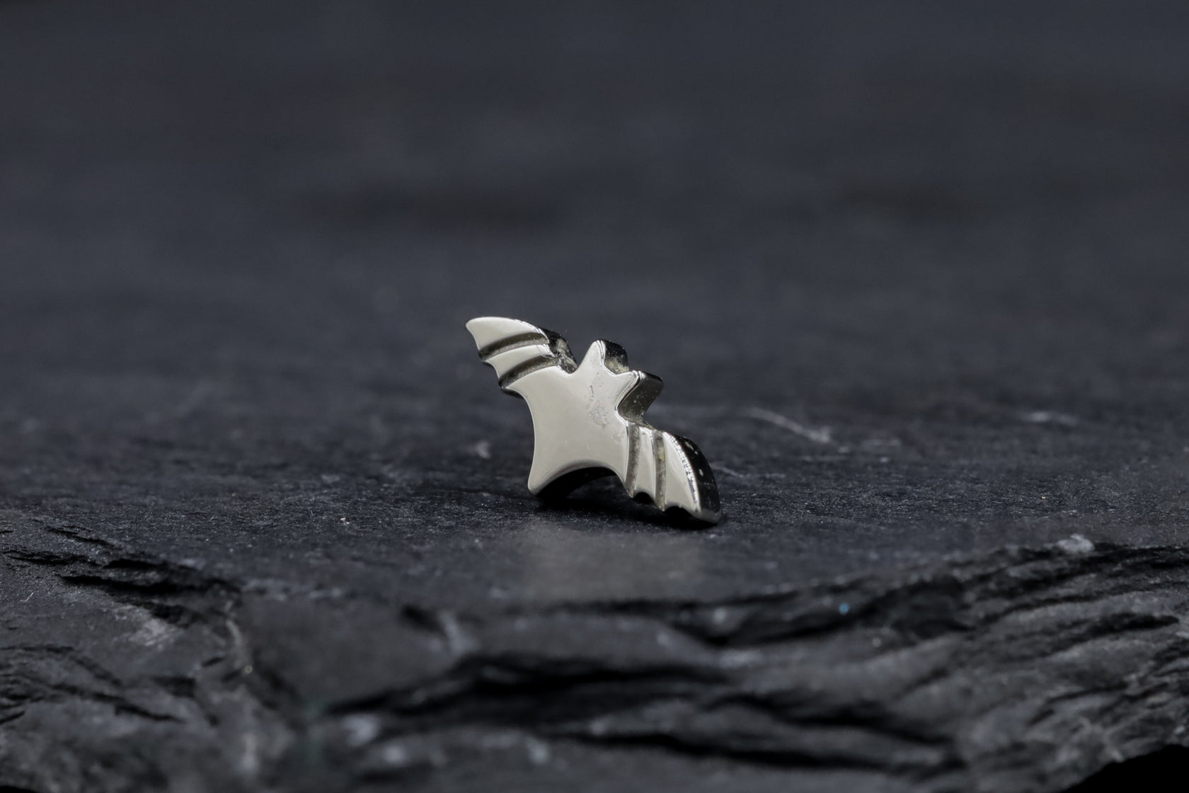 Titanium Bat Threadless Earring – Lux Punk