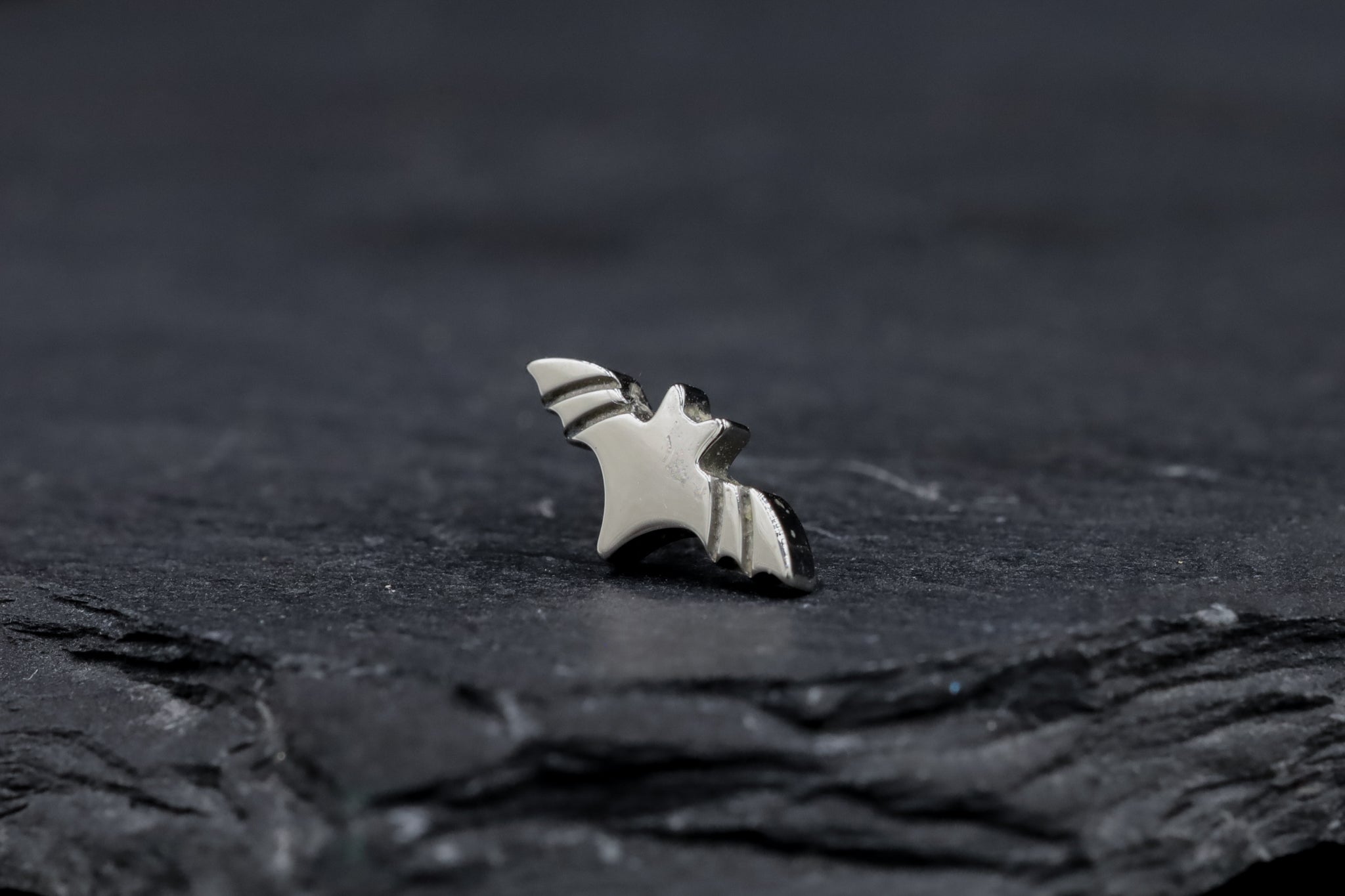 Titanium Bat Threadless Earring – Lux Punk